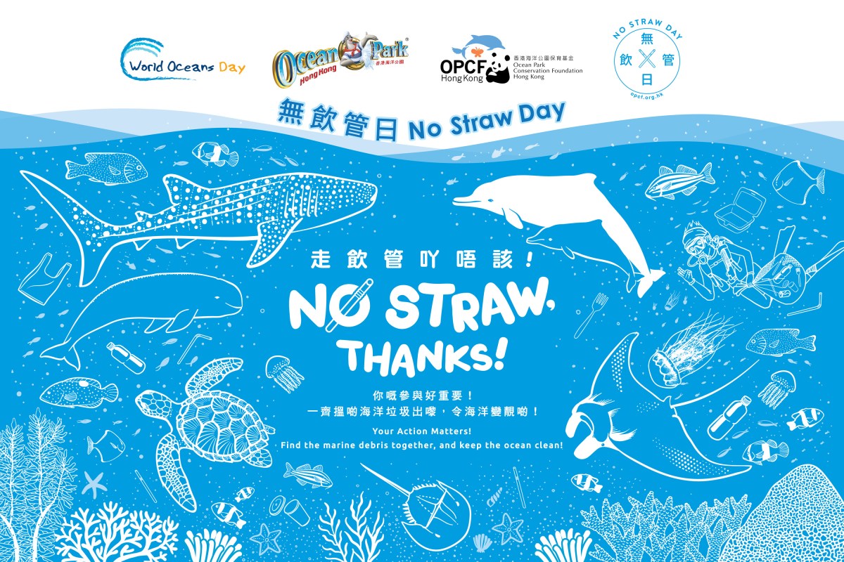 No Straw Day Backdrop – Nicole Kit