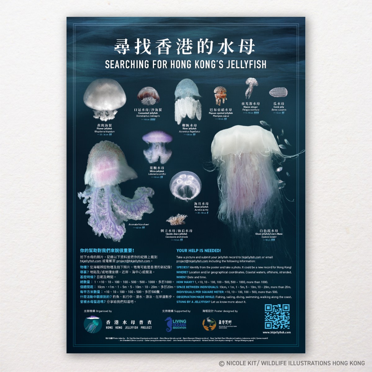 Hong Kong Jellyfish Project Poster – Nicole Kit