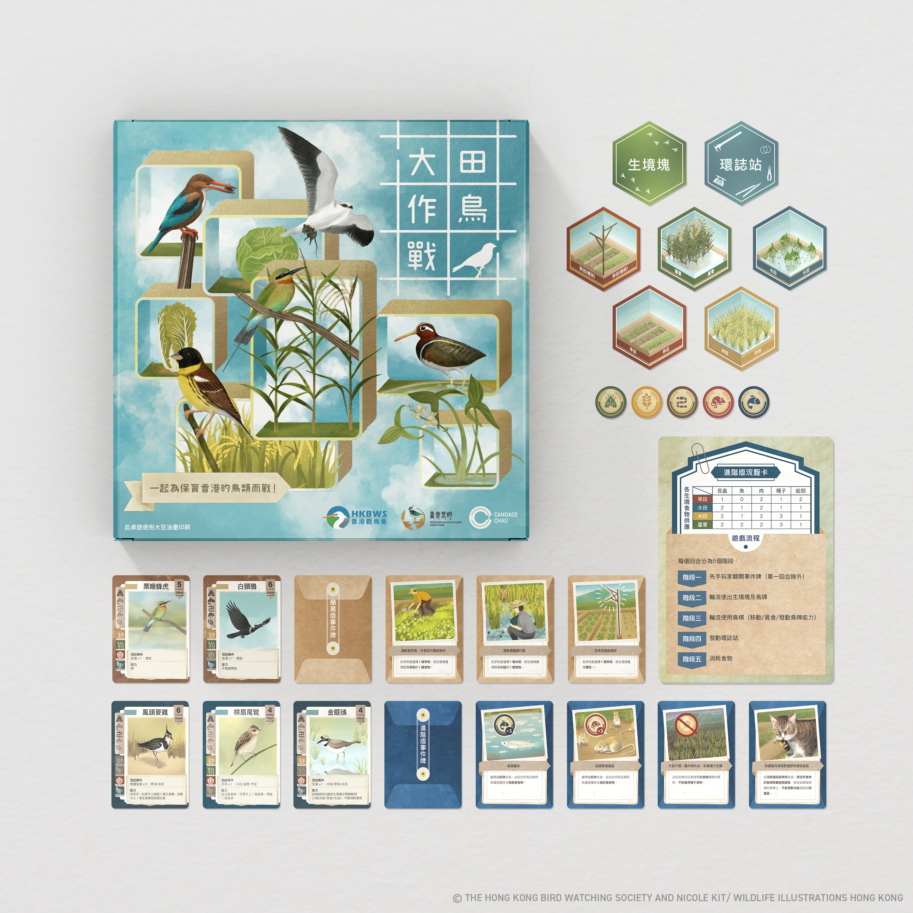 Farmland Bird Survival Board Game Illustrations – Nicole Kit