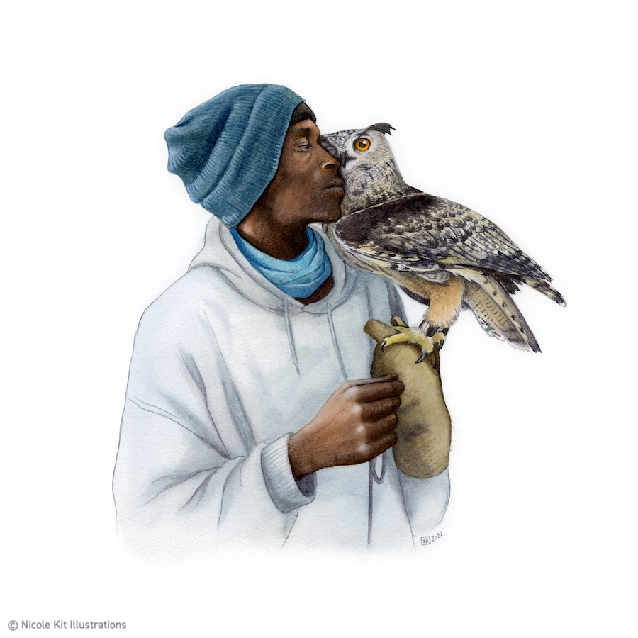 Harris’s Hawk, Rodney and Hoots – Nicole Kit