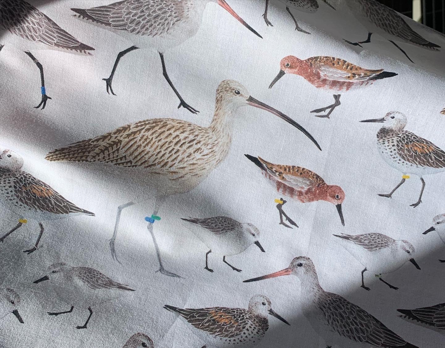 EAAFP Shorebird Color Flagging Handkerchief Design – Nicole Kit